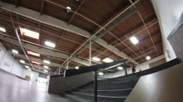 Doric GIFs - Get the best gif on GIFER