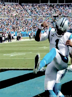 Cam newton GIF - Conseguir o melhor gif em GIFER