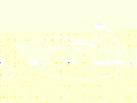 Analog photo GIFs - Get the best gif on GIFER