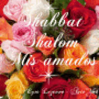 Shalom GIFs - Get the best gif on GIFER