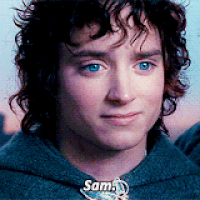 Des GIFs - Get the best gif on GIFER