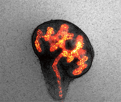Slt GIFs - Get the best gif on GIFER