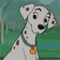 Pongo GIFs - Get the best gif on GIFER