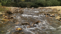 River GIFs - Get the best gif on GIFER