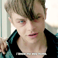 Tasm GIFs - Get the best gif on GIFER