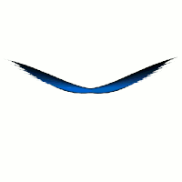 Flight GIFs - Get the best gif on GIFER