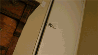 Stoppers GIFs - Get the best gif on GIFER