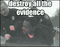 Evidence GIFs - Get the best gif on GIFER