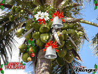 Aloha GIFs - Get the best gif on GIFER