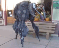 Stilts GIFs - Get the best gif on GIFER