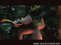 Madagascar GIFs - Get the best gif on GIFER