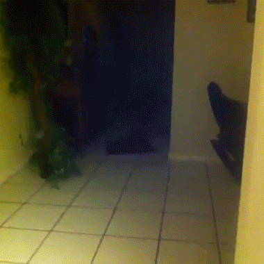 Vacuo GIFs - Get the best gif on GIFER