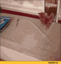 Reflejo GIF - Conseguir el mejor gif en GIFER