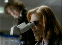 Below GIFs - Get the best gif on GIFER