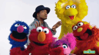 Grover GIFs - Get the best gif on GIFER
