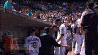 Baseball GIFs - Get the best gif on GIFER