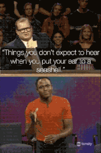 Seashell GIFs - Get the best gif on GIFER
