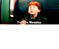 Since GIFs - Get the best gif on GIFER