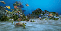 Aquarium GIFs - Get the best gif on GIFER