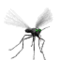 Mosquitos GIFs - Get the best gif on GIFER