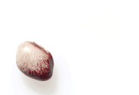 Bulk GIFs - Obtenez le meilleur gif sur GIFER