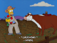 Cow GIFs - Get the best gif on GIFER