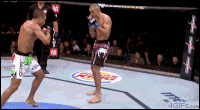 Knock out GIFs - Get the best gif on GIFER