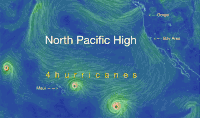 Meteorologist GIFs - Get the best gif on GIFER