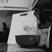Tofu GIFs - Get the best gif on GIFER