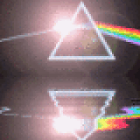 Dxm GIFs - Get the best gif on GIFER