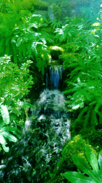 Waterfalls GIFs - Get the best gif on GIFER