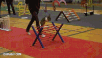 Hurdling GIFs - Get the best gif on GIFER