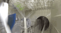 Dishwasher GIFs - Get the best gif on GIFER