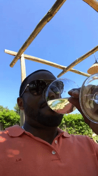 Louisvuitton GIFs - Get the best gif on GIFER