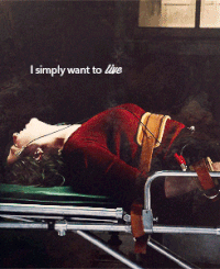 Wool GIFs - Get the best gif on GIFER