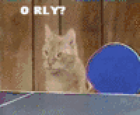 Alt GIFs - Get the best gif on GIFER