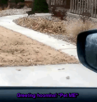 Driveways гифки, анимированные GIF изображения driveways - скачать гиф ...