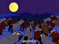 Stampede GIFs - Get the best gif on GIFER
