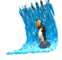 Socal GIFs - Get the best gif on GIFER