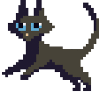 Cat cycle GIFs - Get the best gif on GIFER