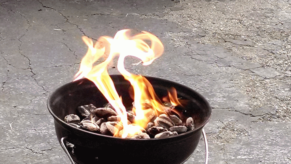 Grilling GIF - Conseguir el mejor gif en GIFER