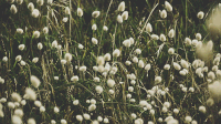 Landscape GIFs - Get the best gif on GIFER