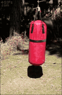 Goats GIFs - Get the best gif on GIFER