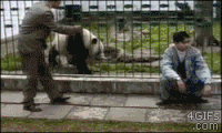 Zoo GIFs - Get the best gif on GIFER