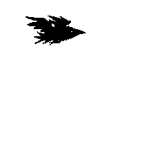 Crow GIFs - Get the best gif on GIFER