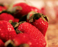 Syrup GIFs - Get the best gif on GIFER