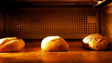 Bread GIFs - Get the best gif on GIFER
