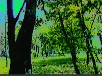 Capacity GIFs - Get the best gif on GIFER