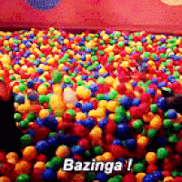 Bazinga GIFs - Get the best gif on GIFER