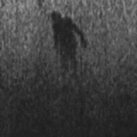 Permanent GIFs - Get the best gif on GIFER